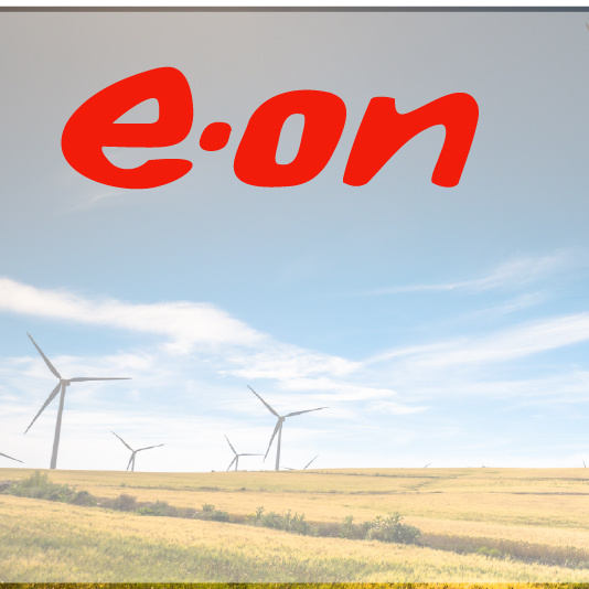 E.ON case study